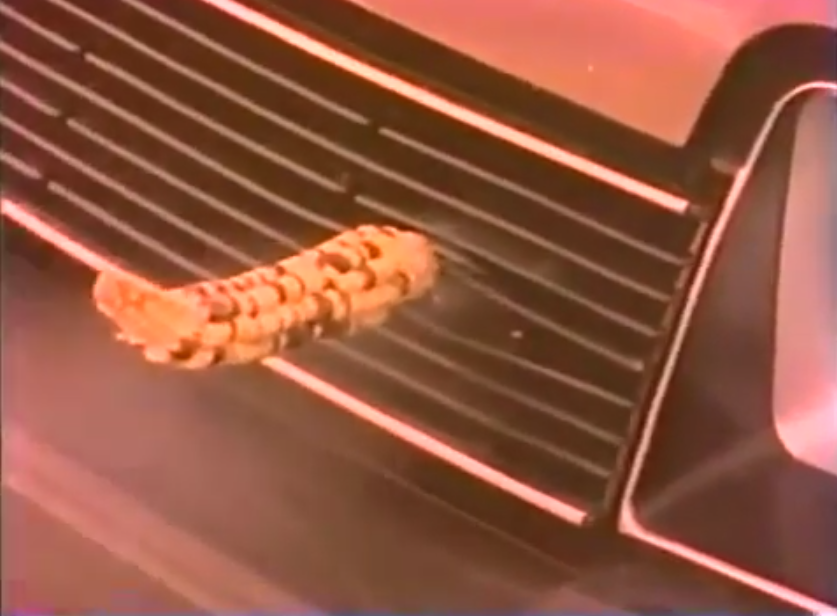 Is It Worth It? “Disciples of the Crow” (1983) – A Huffle of Horror